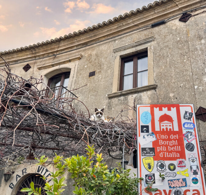 Bar Vitelli (ME) – Sicilia Secrets